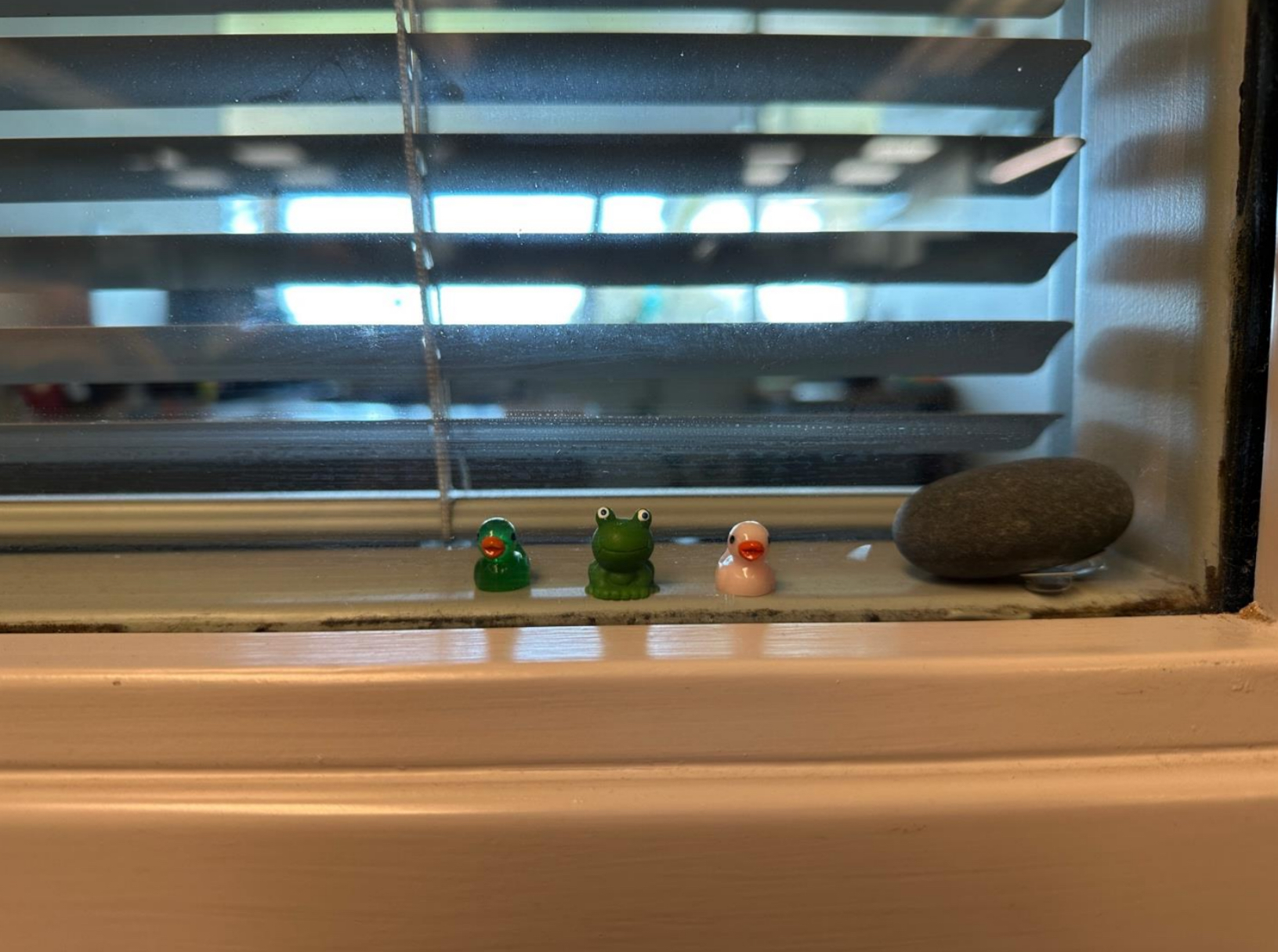 Who is behind the mini plastic ducks at USF St. Pete library? – The ...