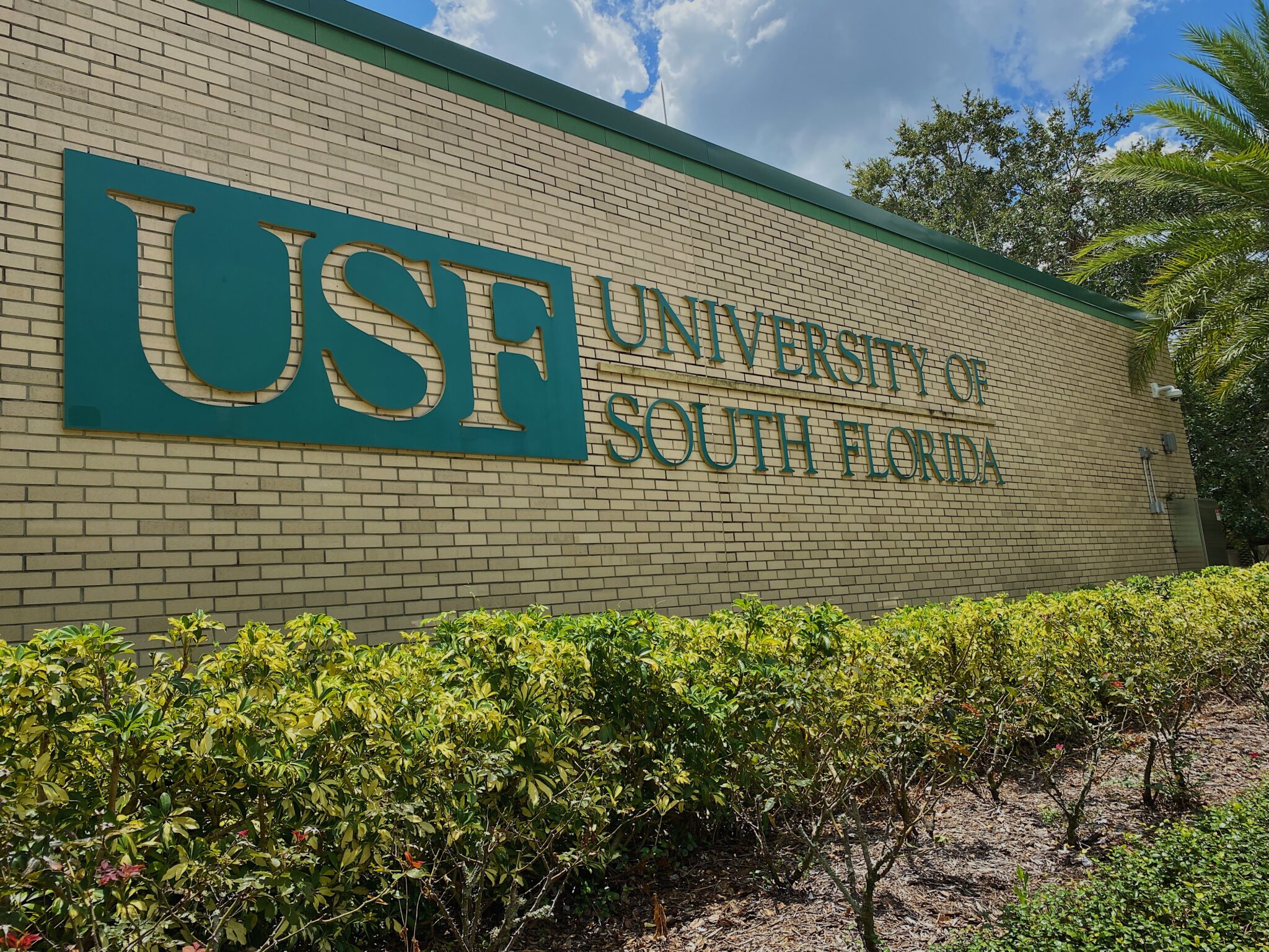 USF under federal investigation for ‘antisemitic harassment and ...